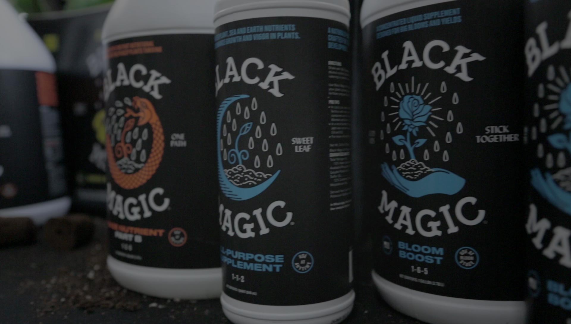 Episode Two: The Brand - Black Magic